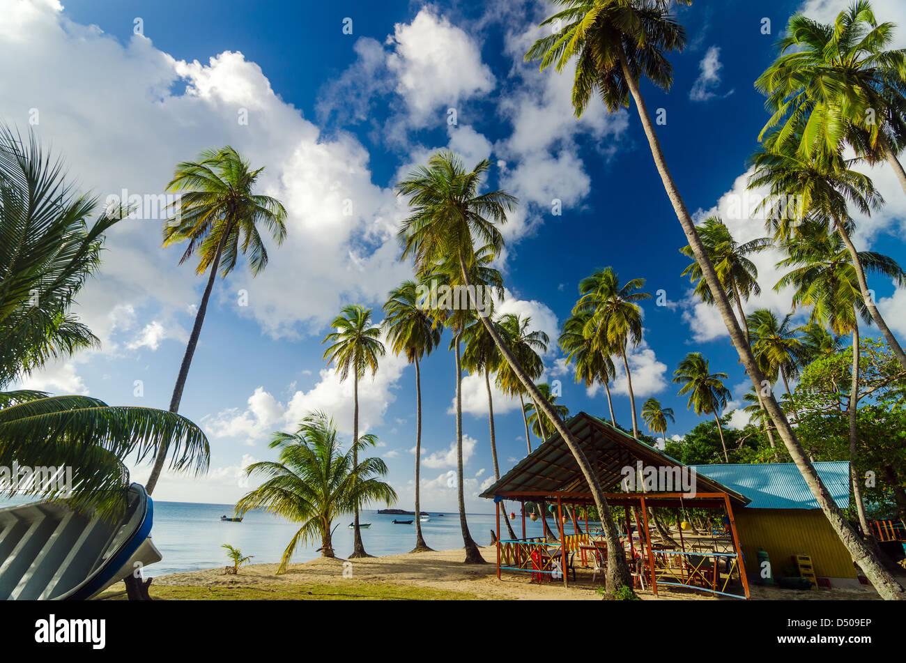Beach shack with palm trees on beautiful white sand Caribbean beach ...