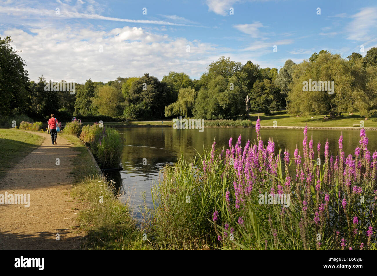London, Hampstead Heath, Highgate ponds, the 'model boating pond' Stock ...