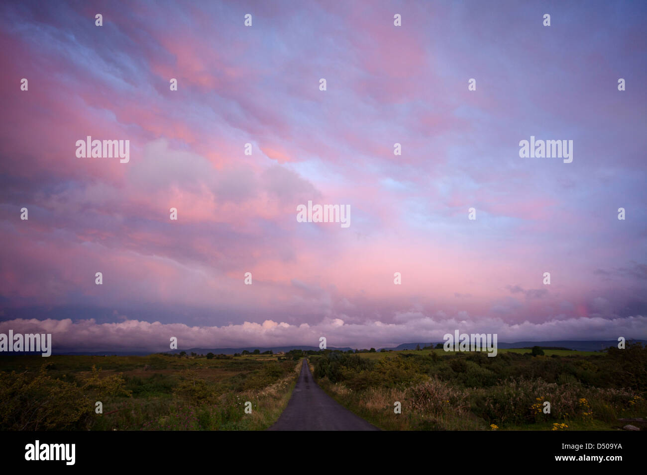Narrow rural lanes hi-res stock photography and images - Alamy