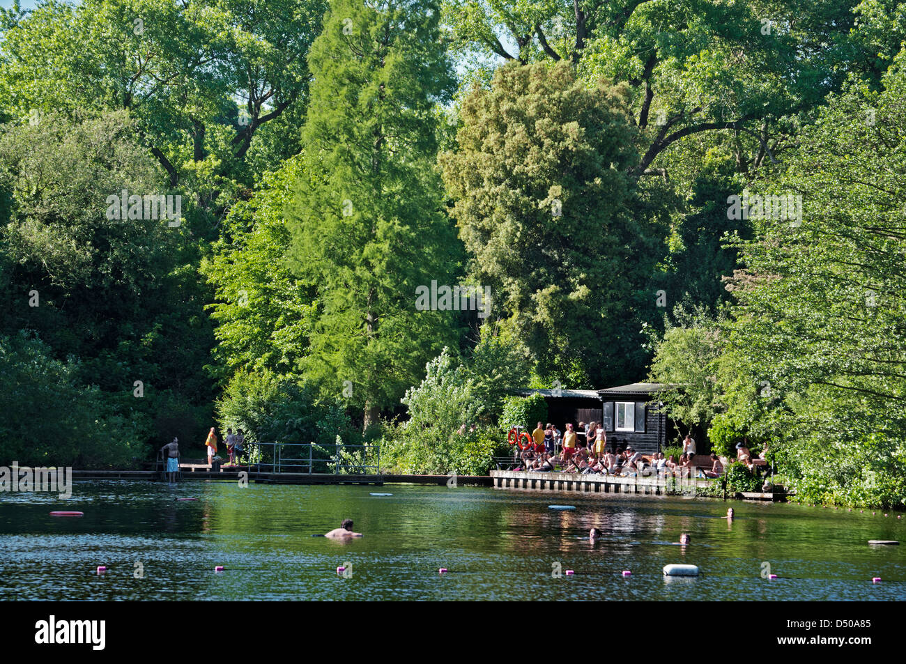 Can Dogs Swim In Hampstead Ponds