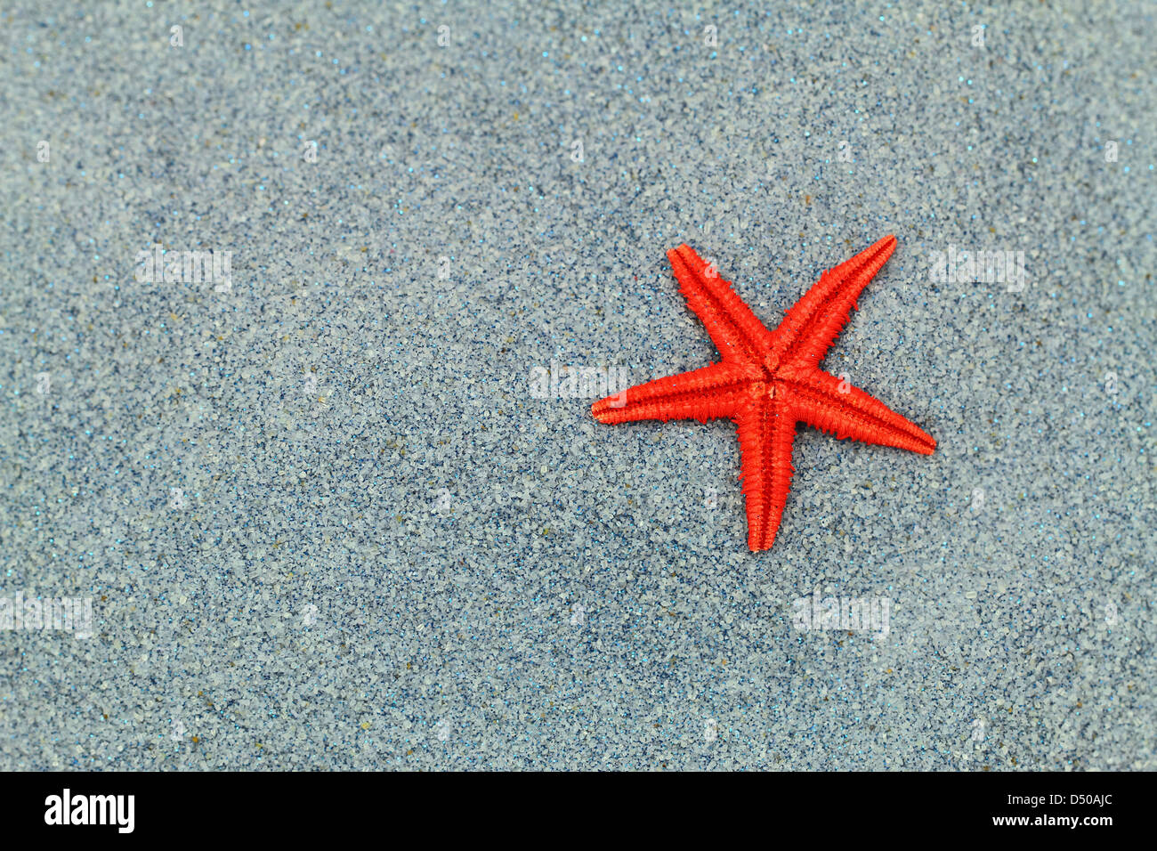 Star fish hi-res stock photography and images - Alamy