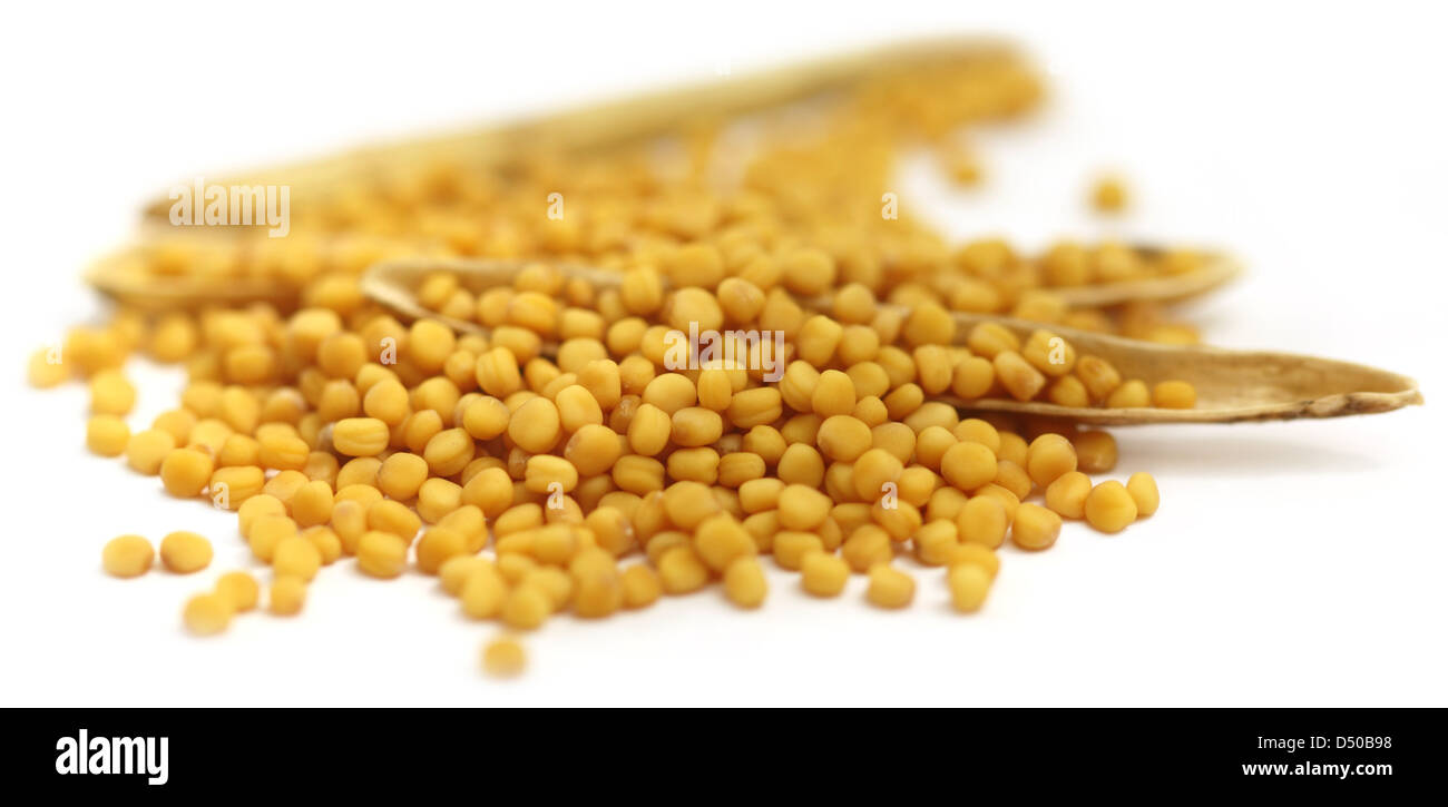 Fresh golden mustard Stock Photo - Alamy