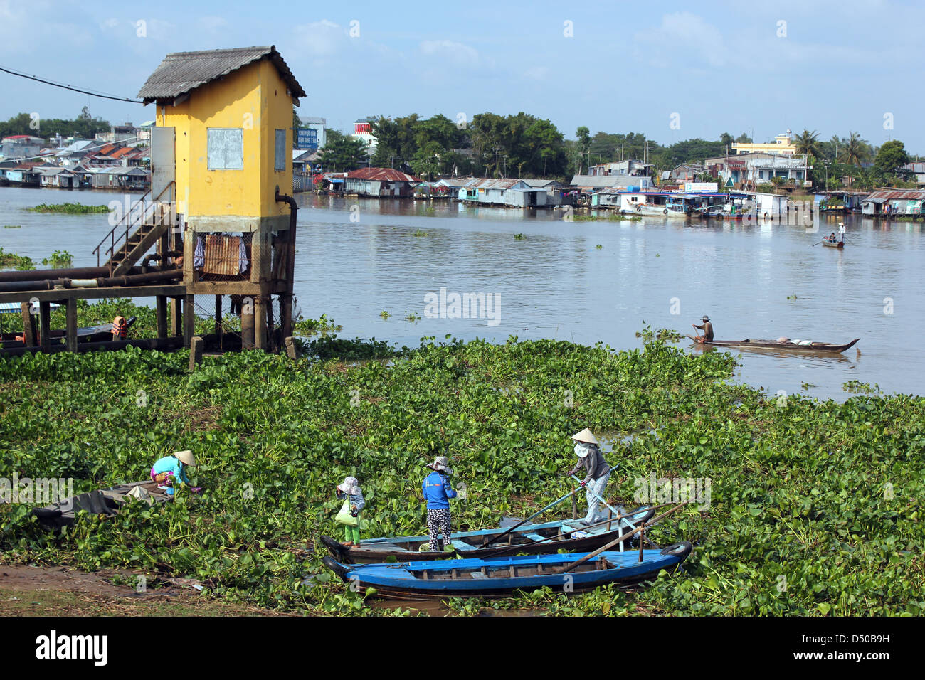 Mekong Delta, Vietnam Stock Photo - Alamy