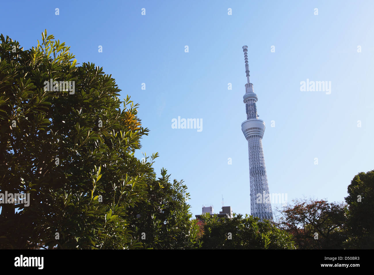 Tokyo Sky Tree Stock Photo - Alamy