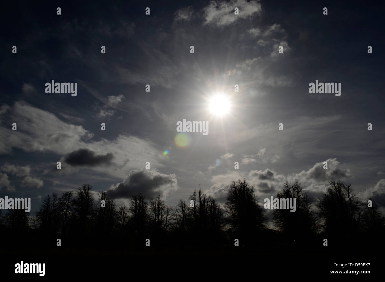 trees with moody sky Stock Photo - Alamy trees with moody sky Stock Photo - Alamy