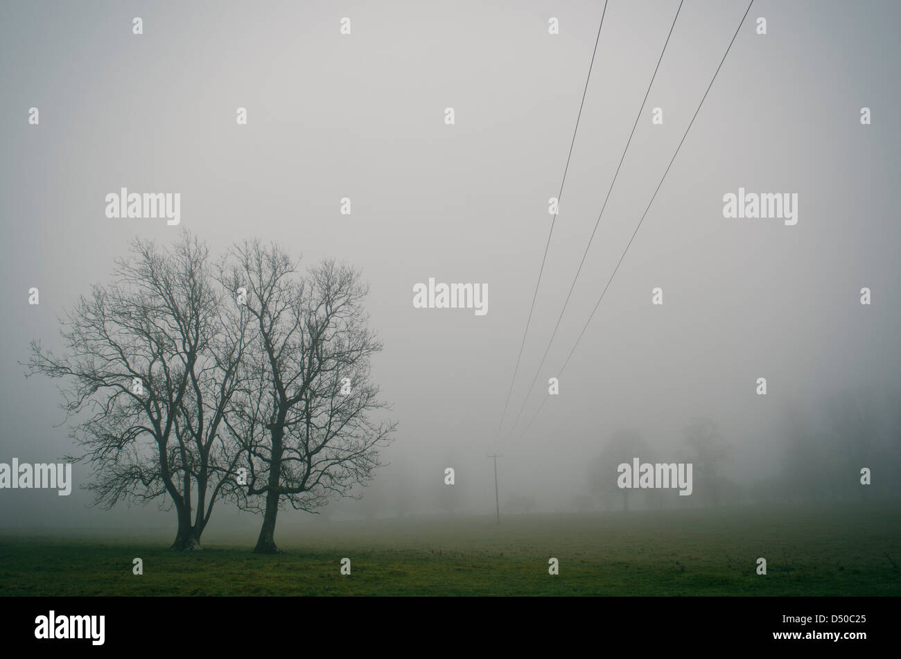 power lines and countryside in fog Stock Photo - Alamy