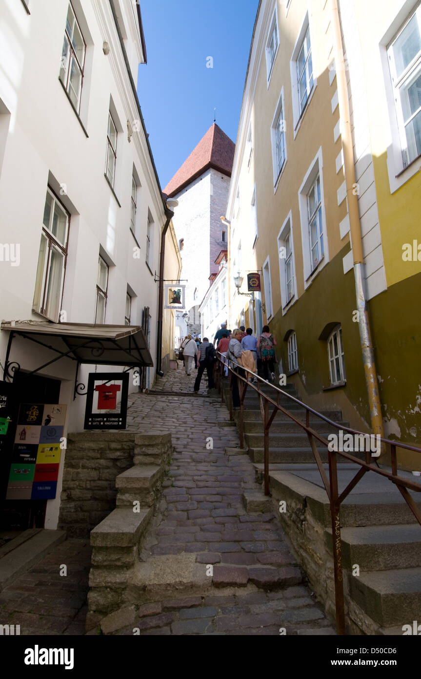 A flight of steps and path on Pikk-Jalg in Tallinn Old Town, Tallinn ...