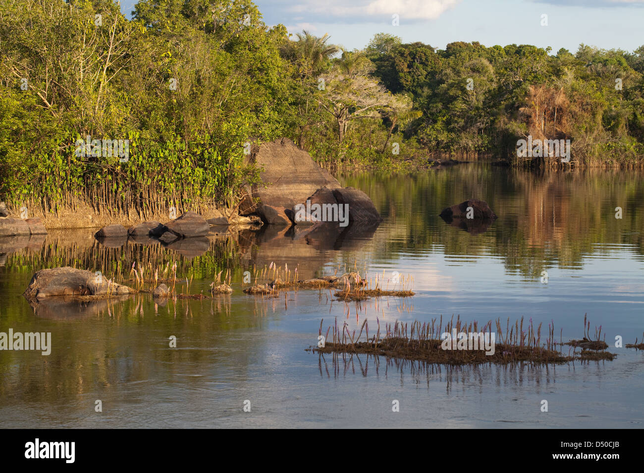 Essequibo River above the Kurupukari Falls. Fair View Village. Iwokrama ...