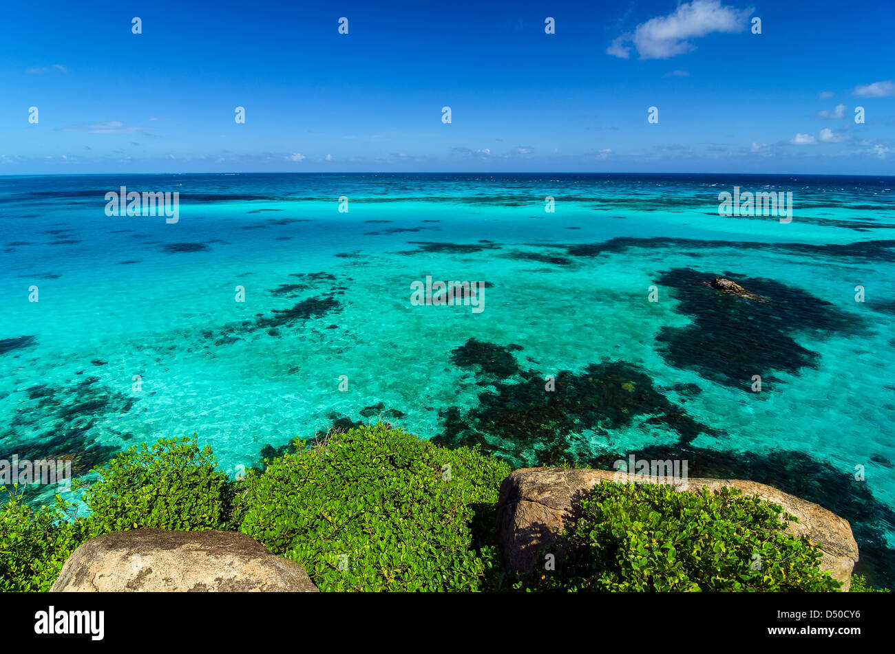 Caribbean crab hi-res stock photography and images - Alamy