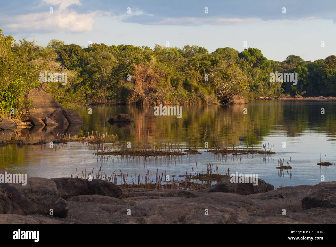 Essequibo River above the Kurupukari Falls. Fair View Village. Iwokrama ...