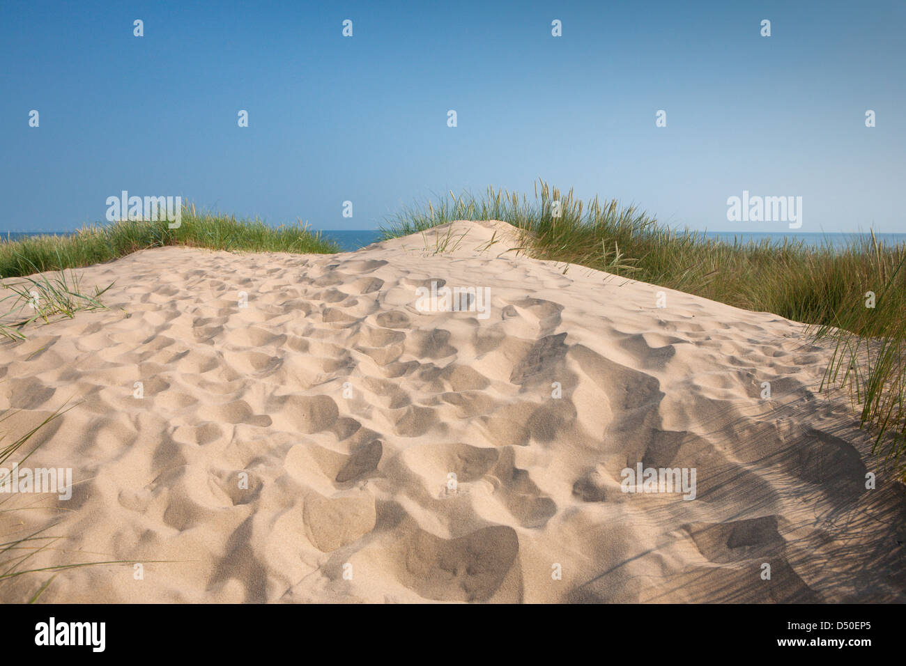 ENGLAND; NORFOLK; SAND DUNES; HOLKHAM; GRASS; HORIZON; SAND; BEACH ...