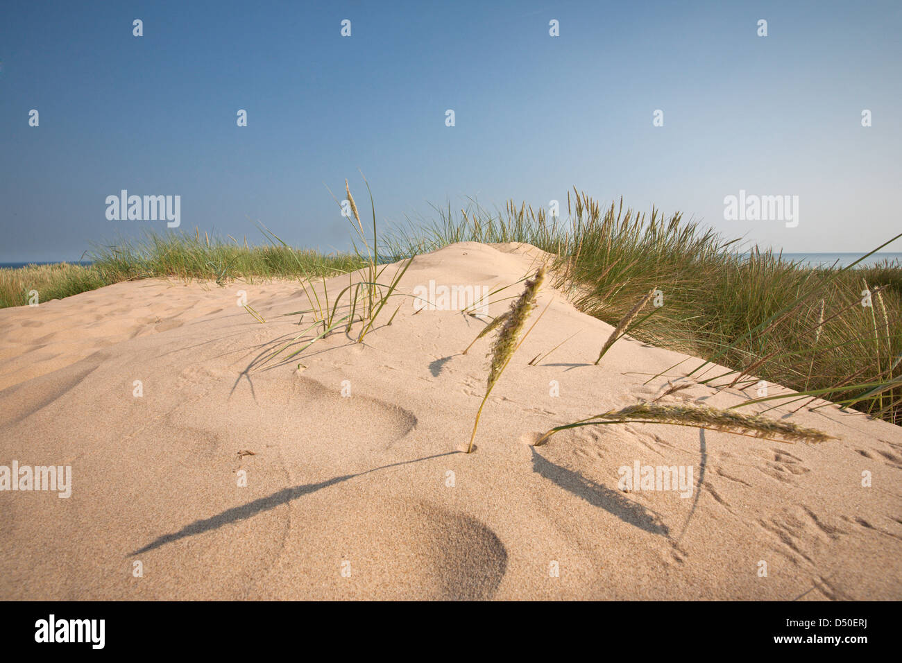 Holkham beach norfolk sunny hi-res stock photography and images - Alamy