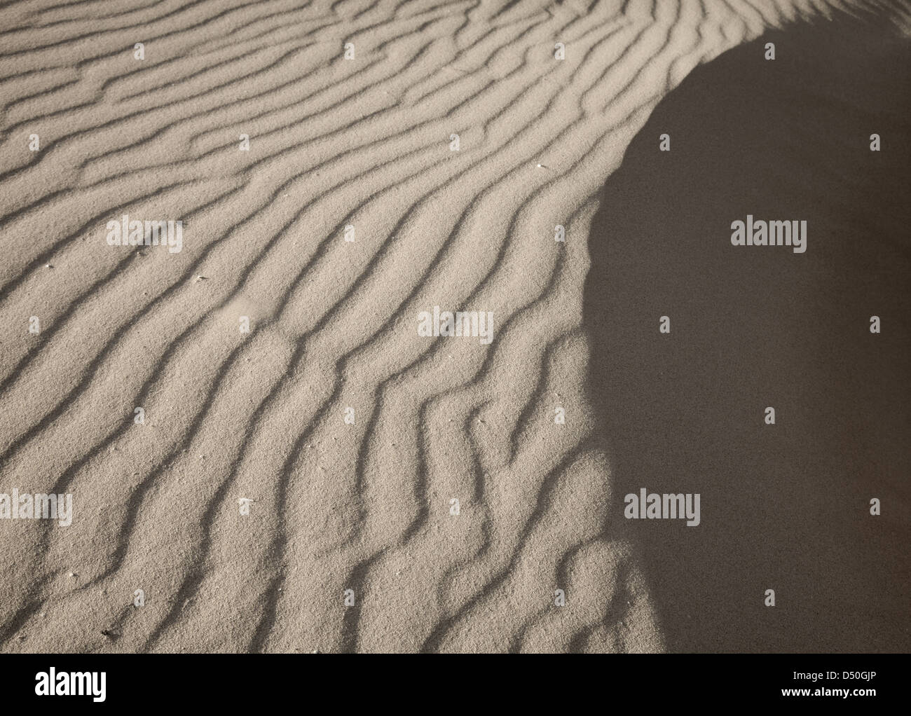 sand and wind pattern on the dunes Stock Photo - Alamy