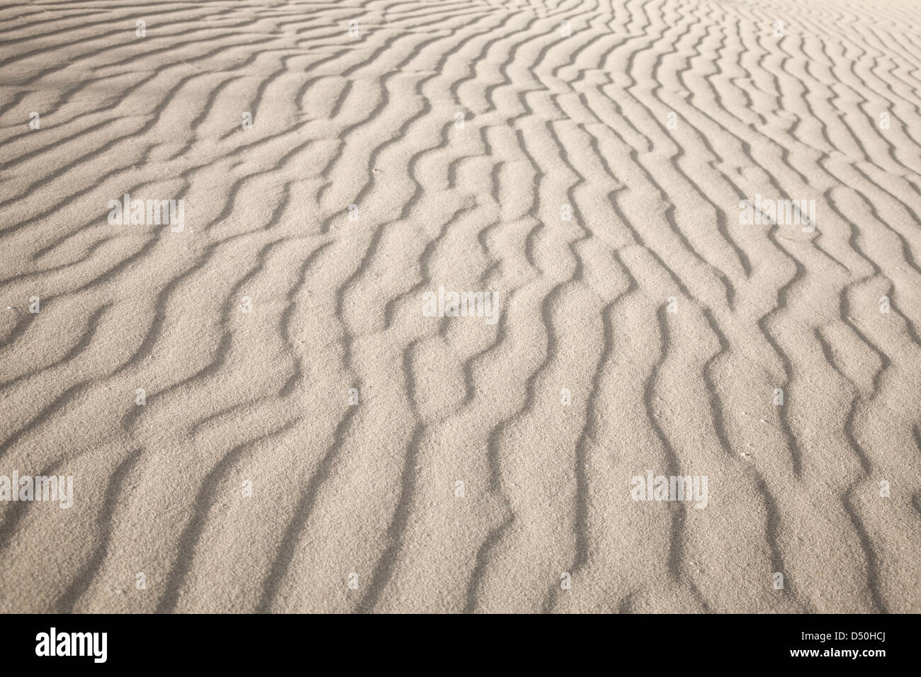 sand and wind pattern on the dunes Stock Photo - Alamy