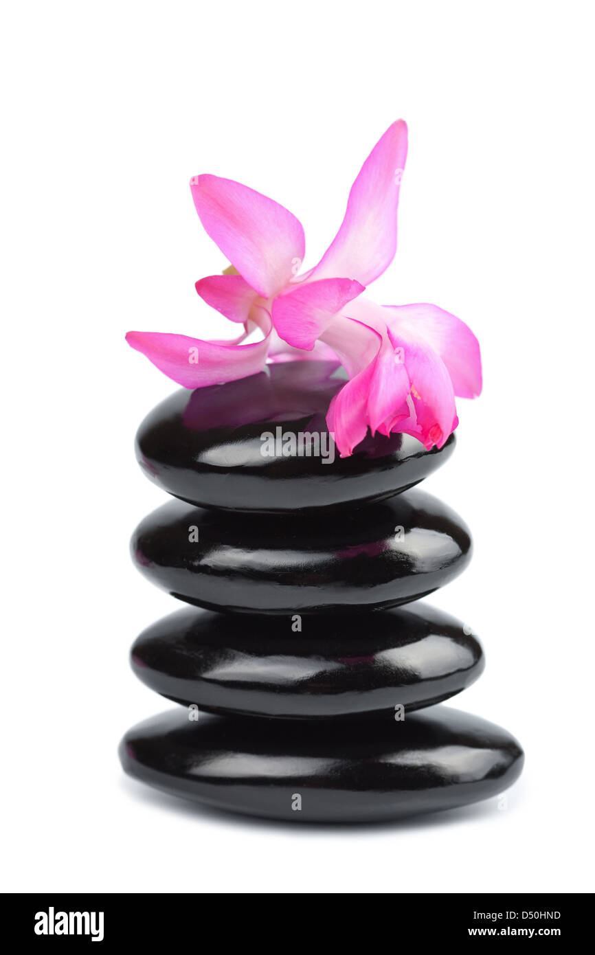 Pink harmony Cut Out Stock Images & Pictures - Alamy