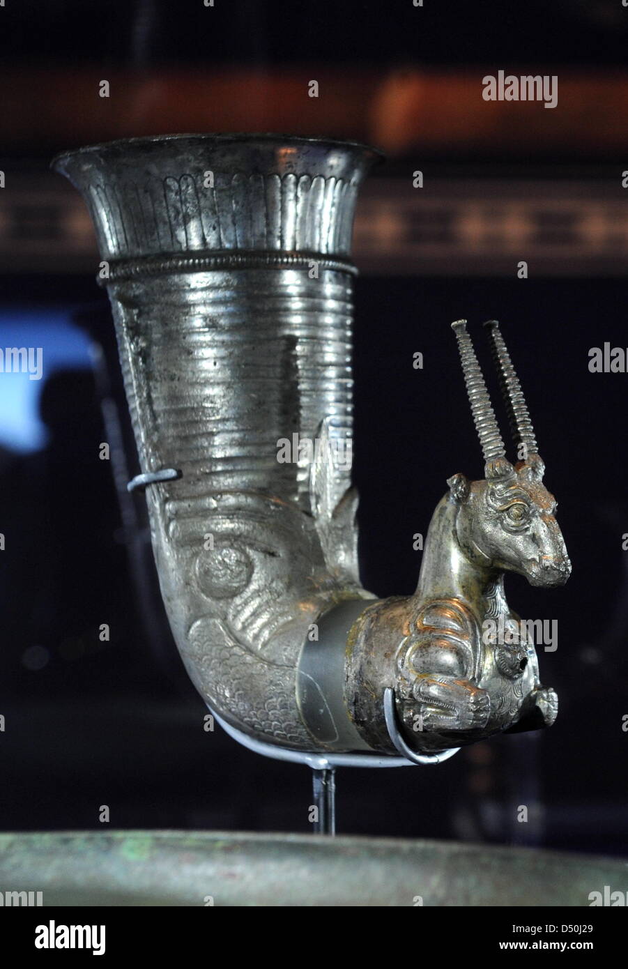 A rhyton (drinking vessel from the 5th/4th century BC) is displayed in ...
