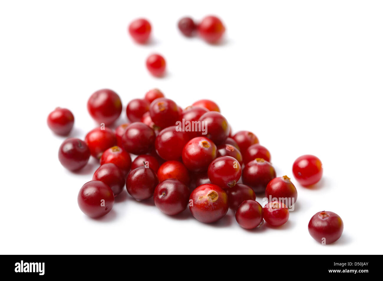 Ripe cranberries isolated Cut Out Stock Images & Pictures - Alamy