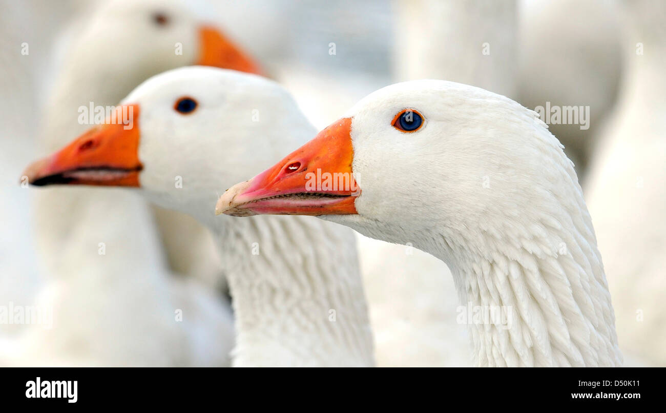 12 euro hi-res stock photography and images - Alamy