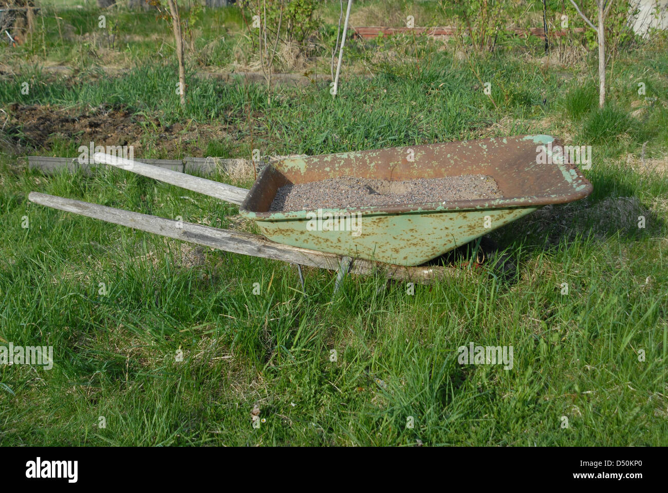 Rusty wheelbarrow in garden Stock Photo - Alamy