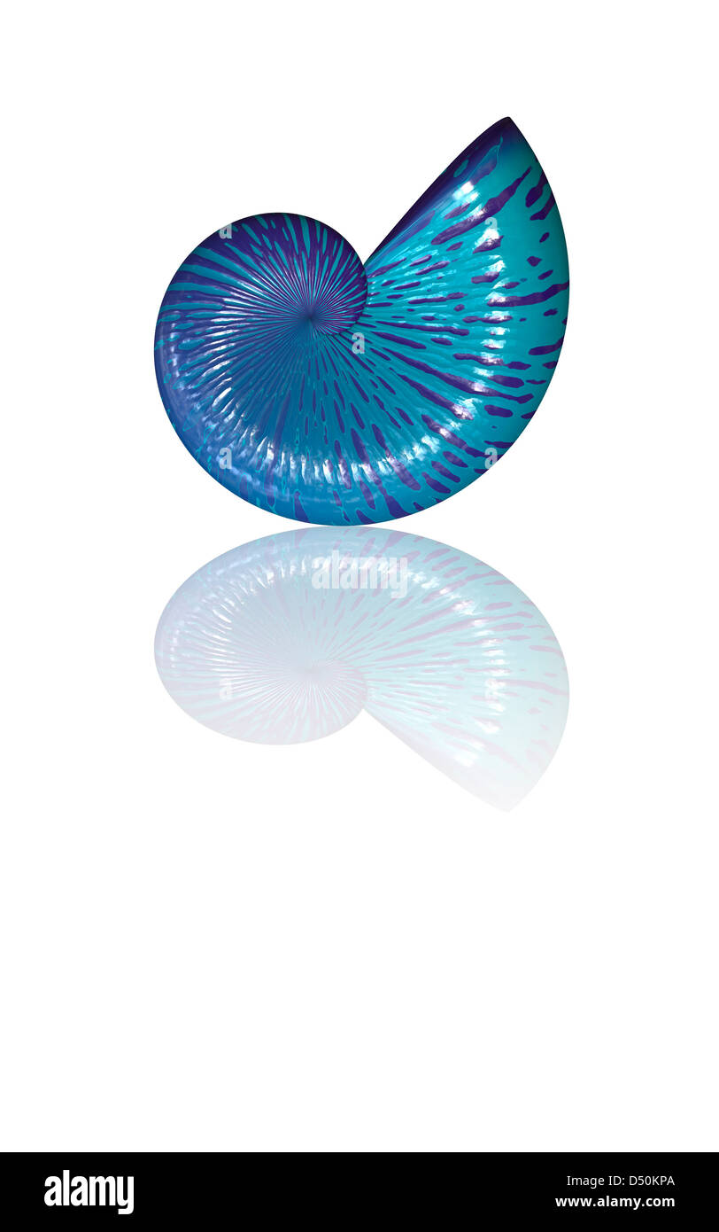 3D Rendering of Sea Shell With Copy Space Stock Photo - Alamy