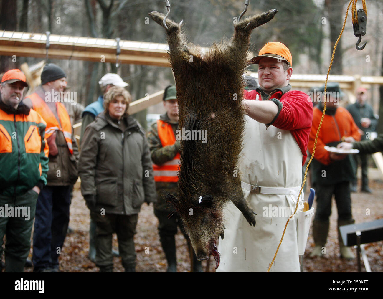 Gutting a boar hi-res stock photography and images - Alamy