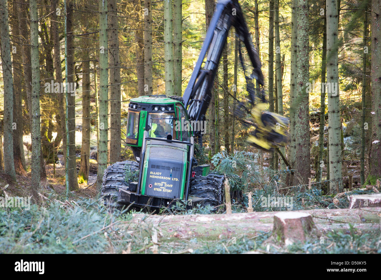 A forwarder harvesting timber in Grizedale Forest, Lake District, UK ...