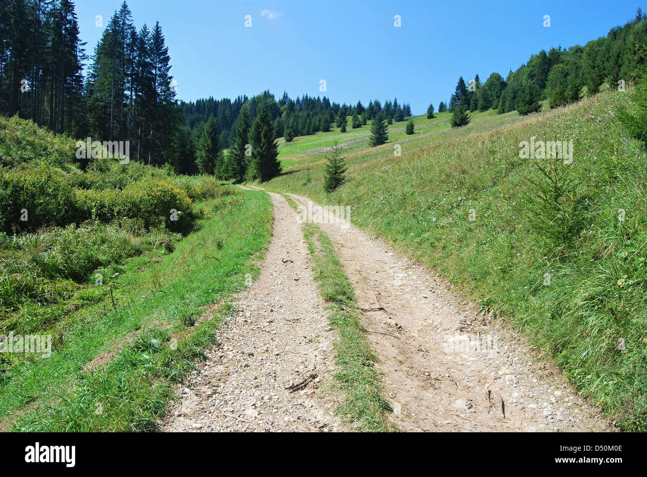 foot-path on the mountains with beuatiful scenery of meadows and trees ...