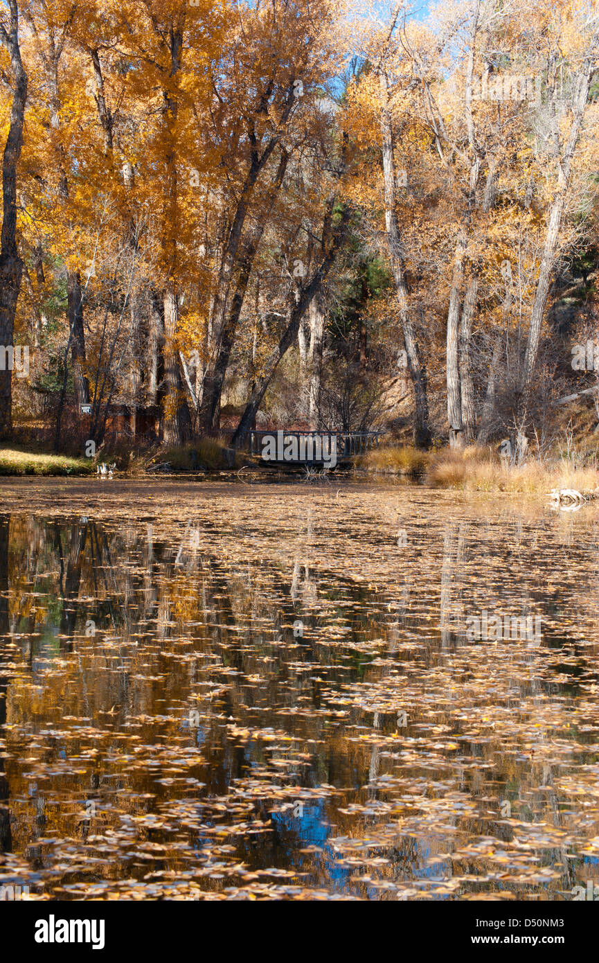 Buena vista pond hi-res stock photography and images - Alamy