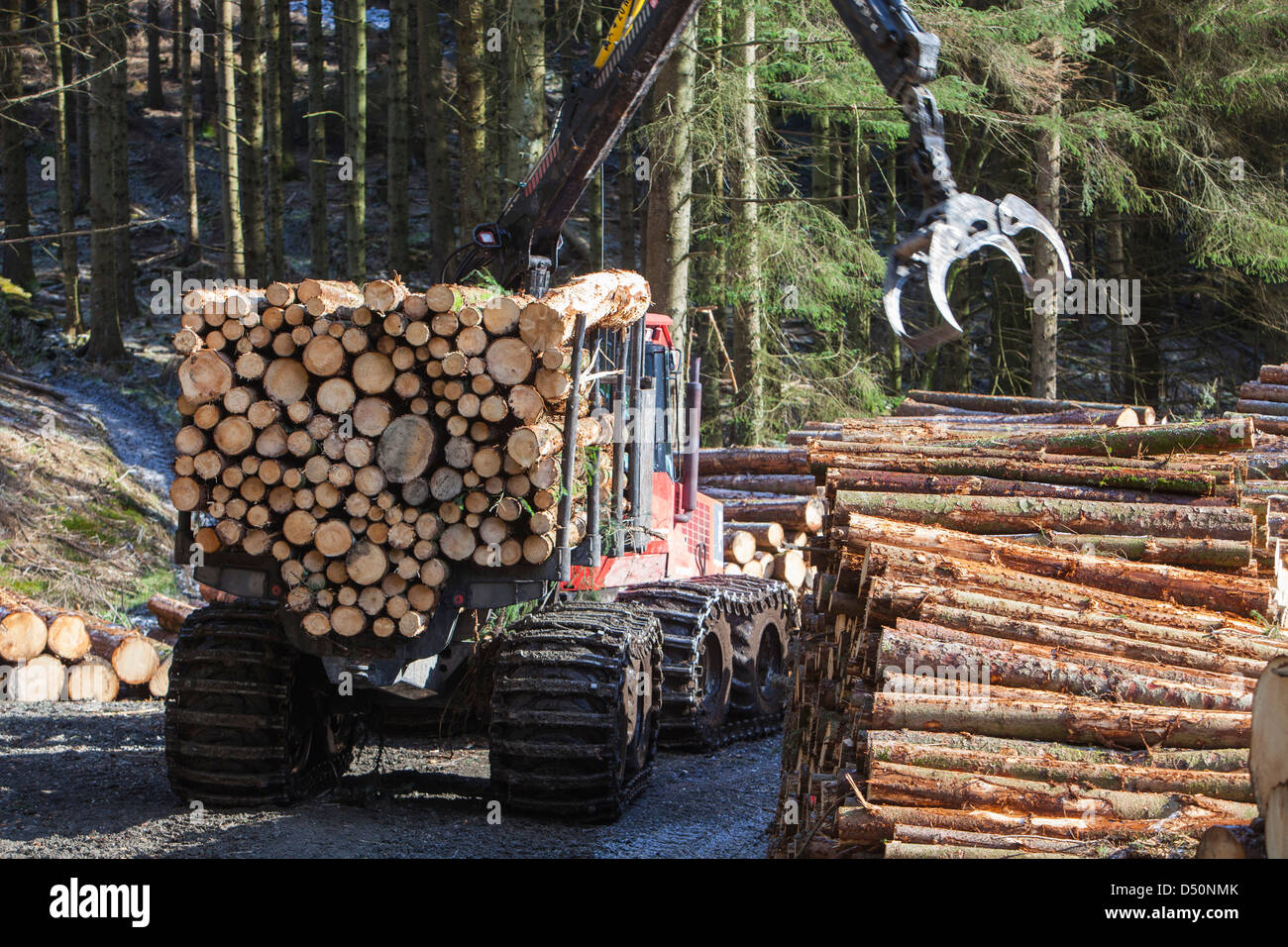 Timber truck hi-res stock photography and images - Alamy