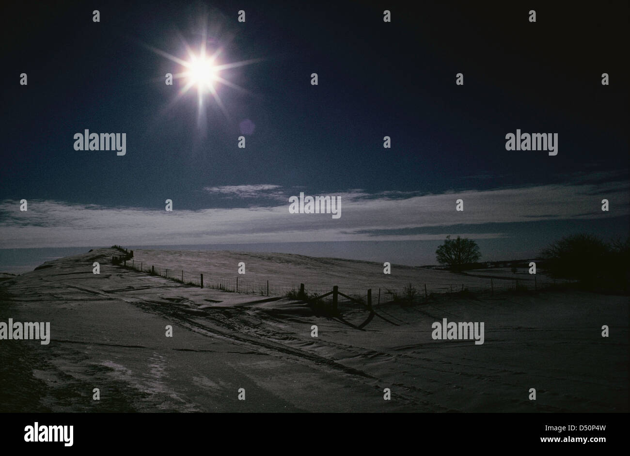 Canadian Winter at 40 below zero in Northern Ontario;Canada Stock Photo ...