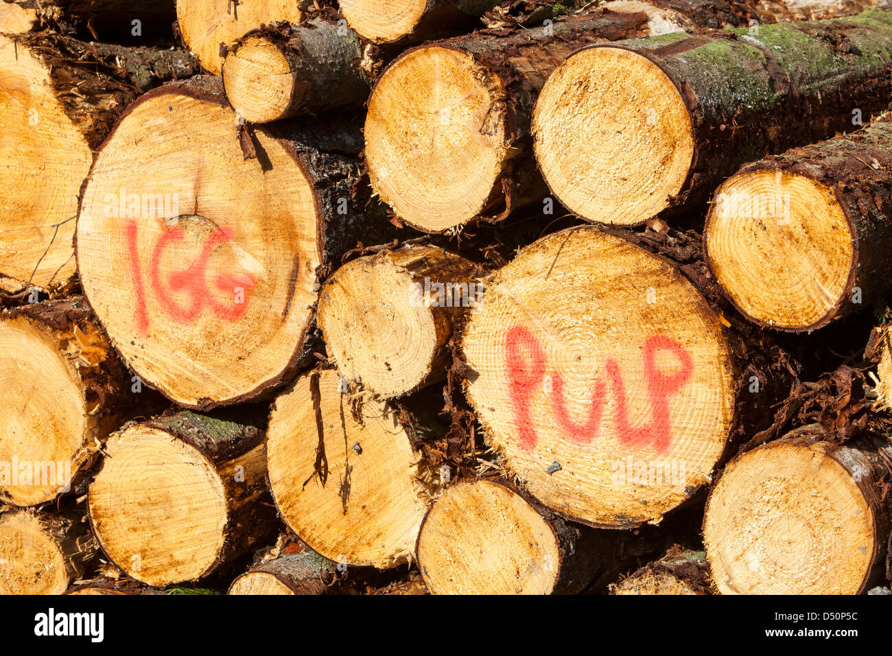Pulp log hi-res stock photography and images - Alamy