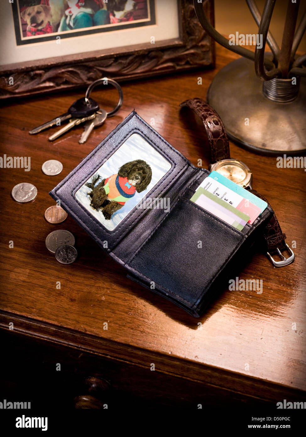 Photo of a dog hi-res stock photography and images - Alamy