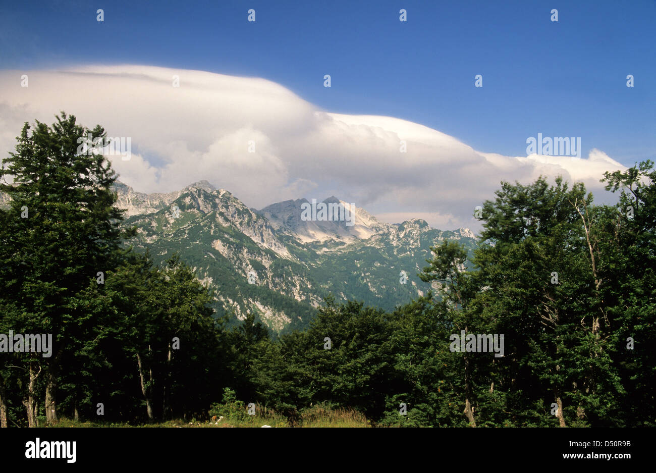 Julian alps from vogel hi-res stock photography and images - Alamy