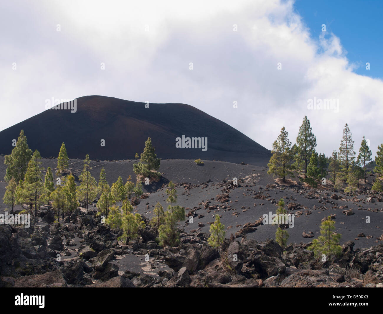 Volcano Chinyero in Tenerife Spain had its last eruption in 1909 Stock ...
