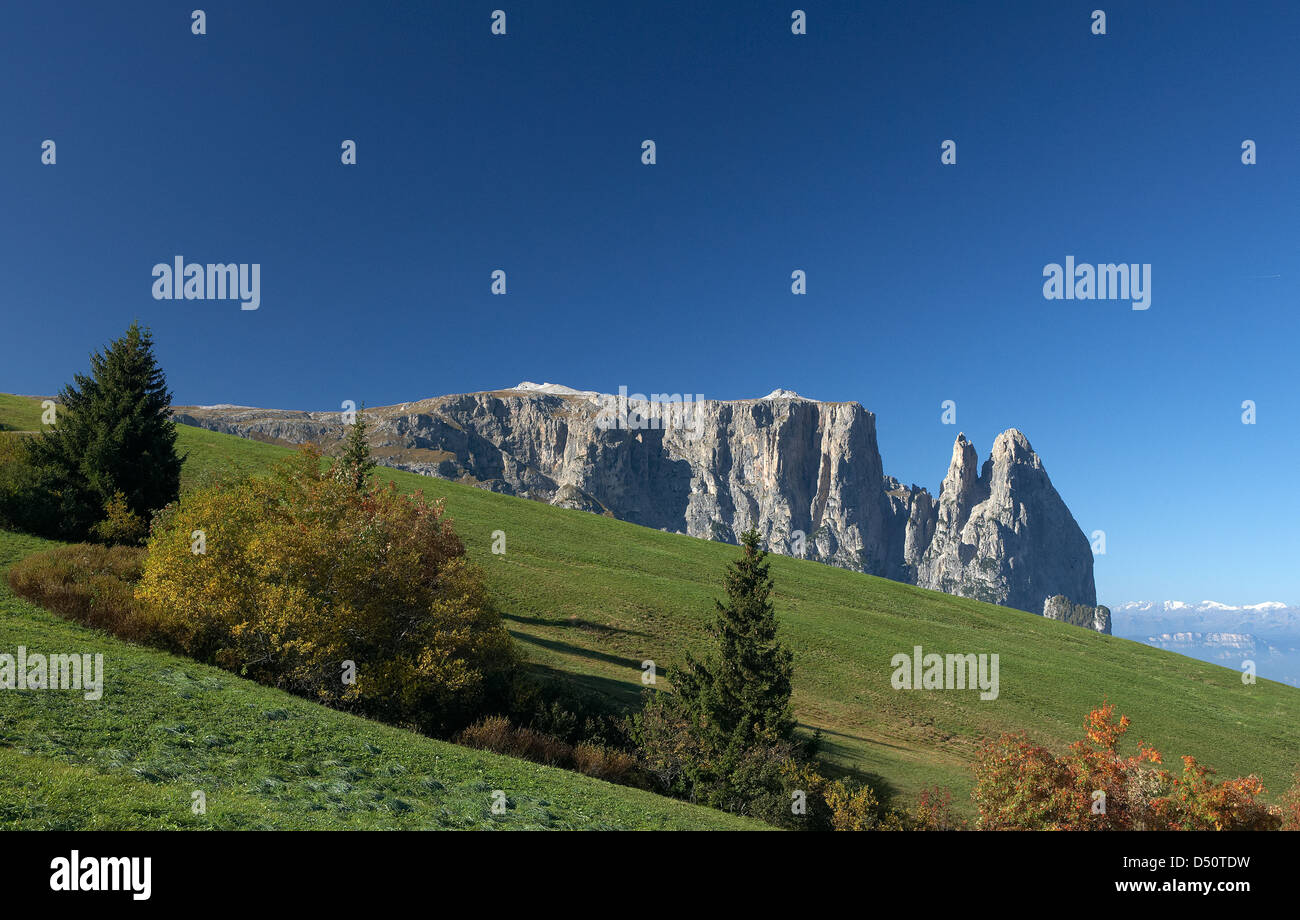 Compatsch, Italy, overlooking the Schlernmassiv Stock Photo - Alamy