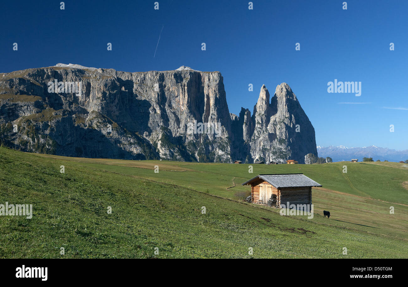 Compatsch, Italy, overlooking the Schlernmassiv Stock Photo - Alamy