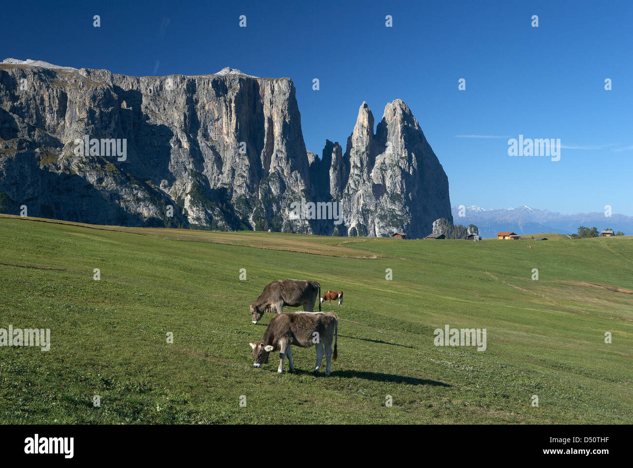 Nature reserve schlern hi-res stock photography and images - Alamy