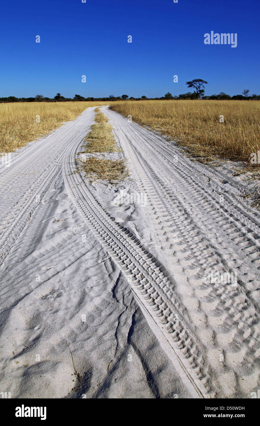 Moremi game reserve national park hi-res stock photography and images ...