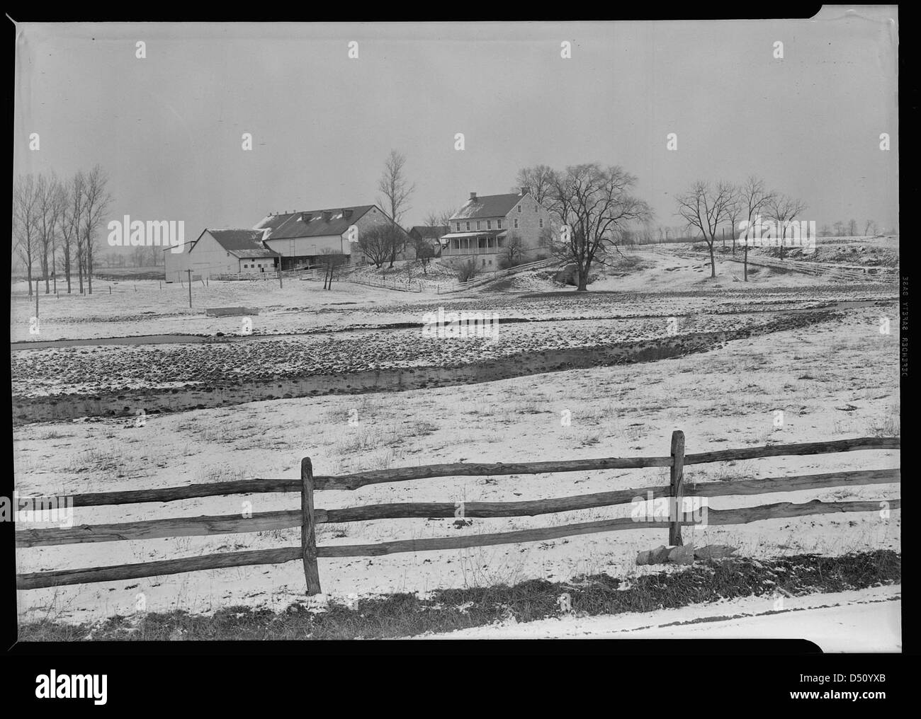A 1936 image of adjoining farms on a side road near Petersburg ...