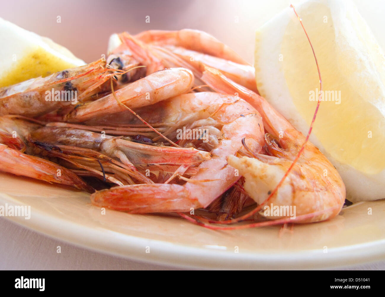 Wallpaper shrimp hi-res stock photography and images - Alamy