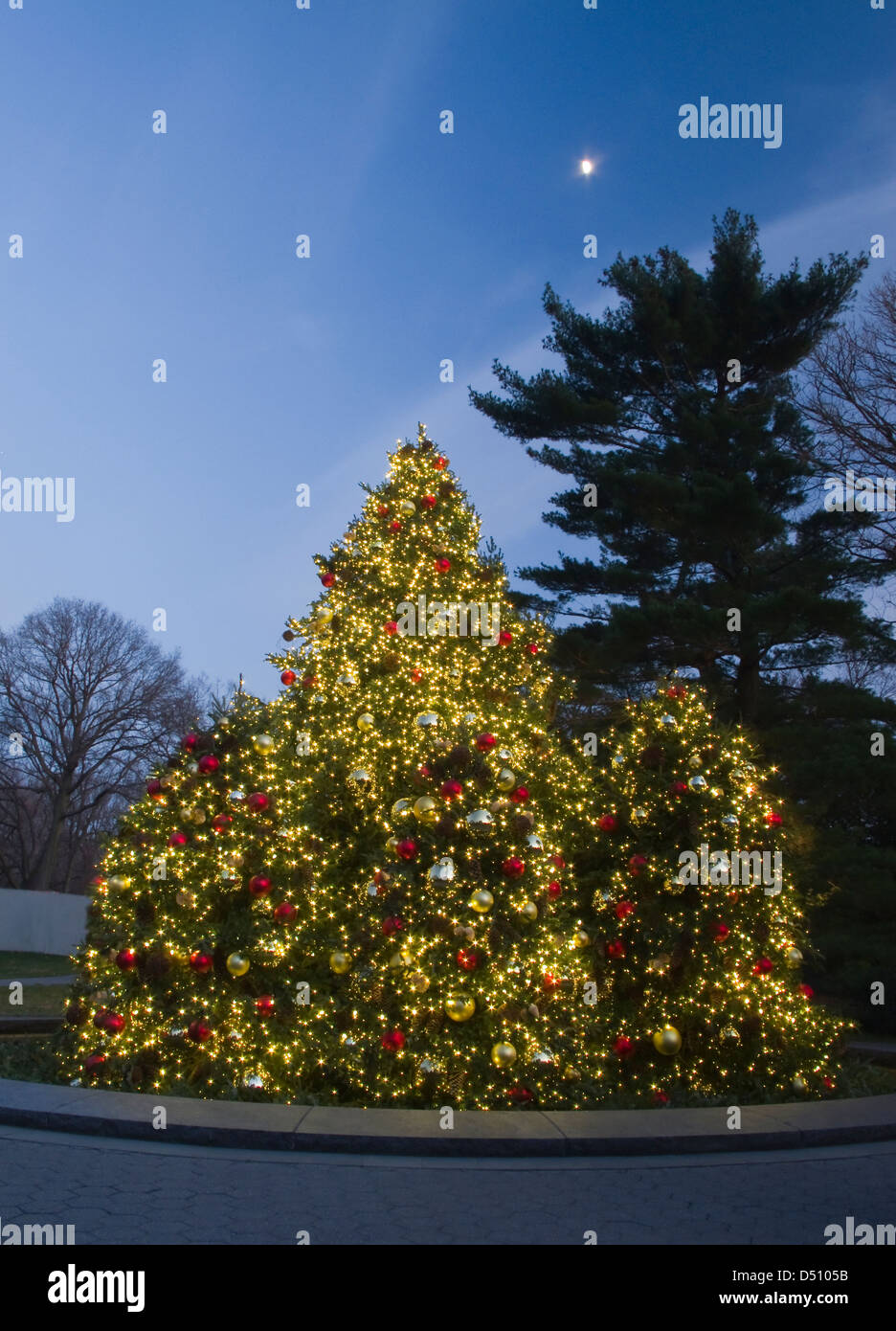 Outdoor christmas tree hi-res stock photography and images - Alamy