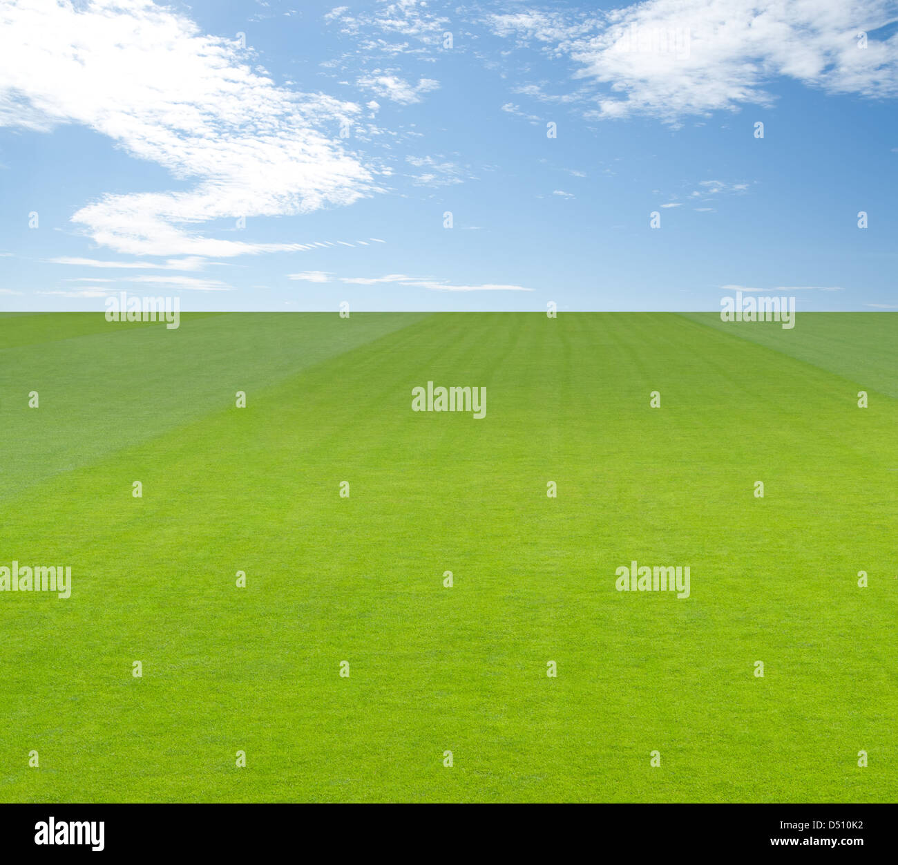 Endless green field under big blue sky with clouds Stock Photo - Alamy