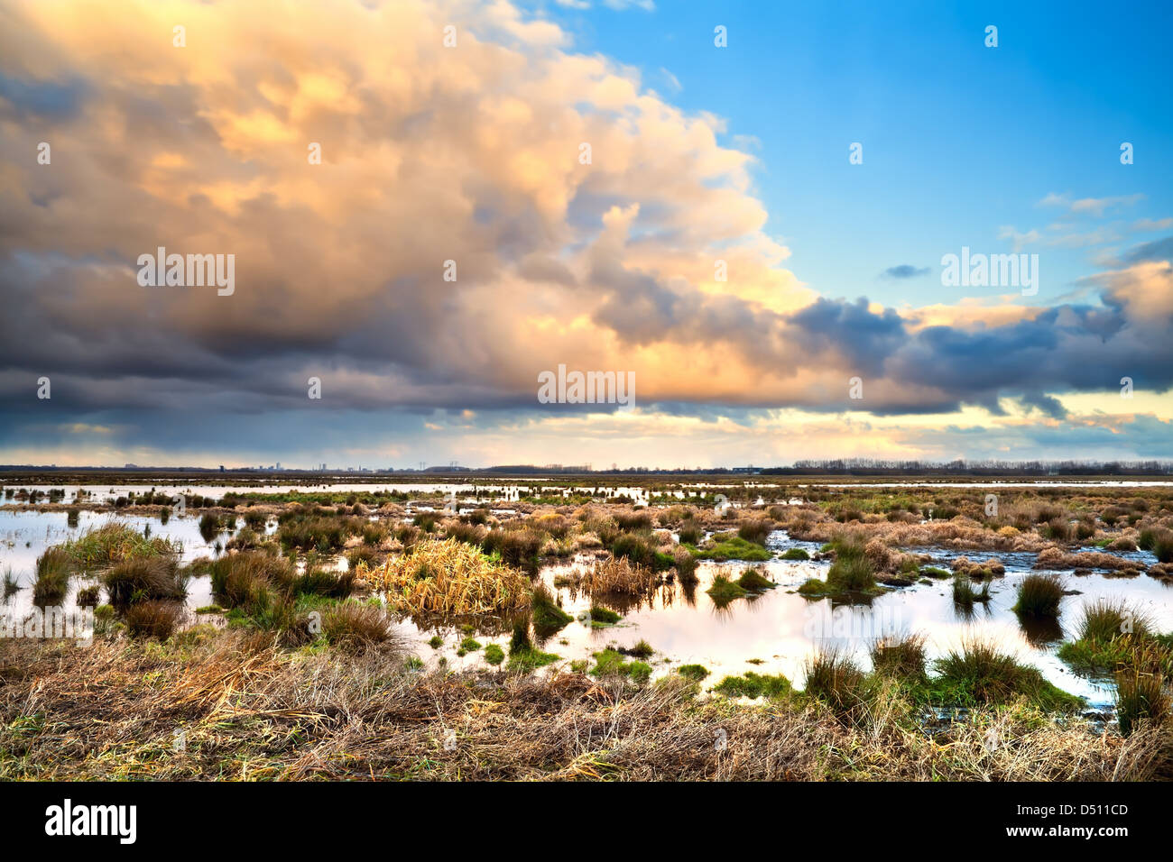 Beautiful sunrise over swamp hi-res stock photography and images - Alamy