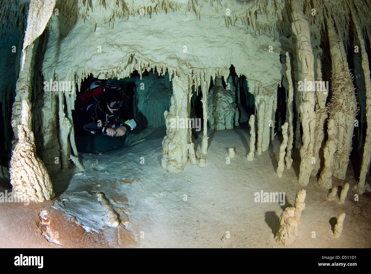 cave diver exploring Nohoch cave in the yucatan peninsula, Mexico Stock ...