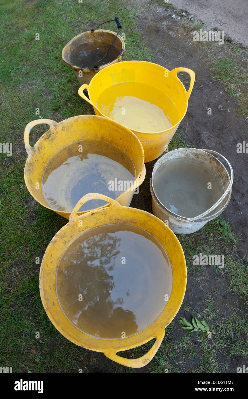 5 five buckets hi-res stock photography and images - Alamy