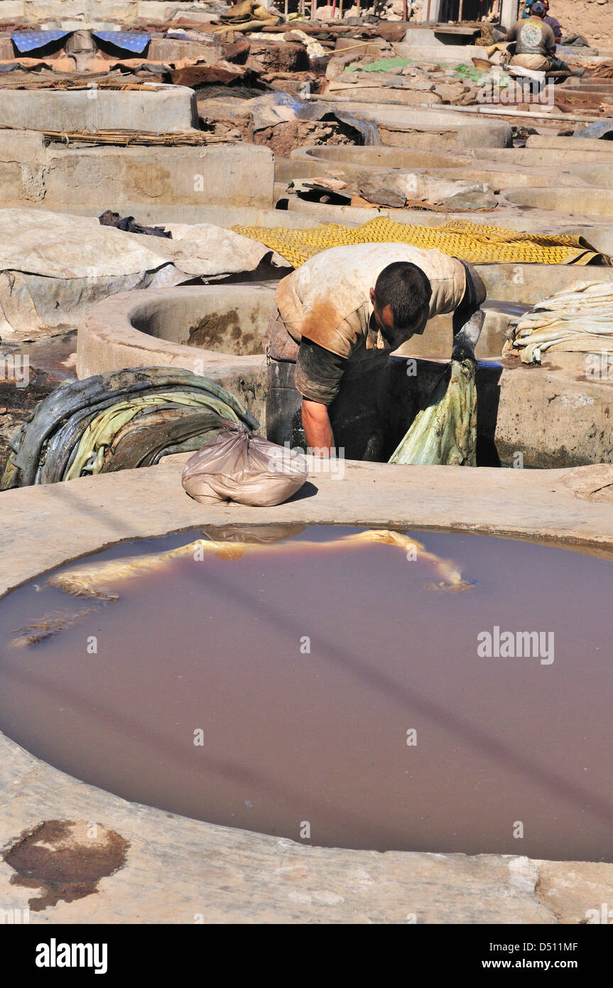 Man tending to the cow hides soaking in water in the vats at the ...