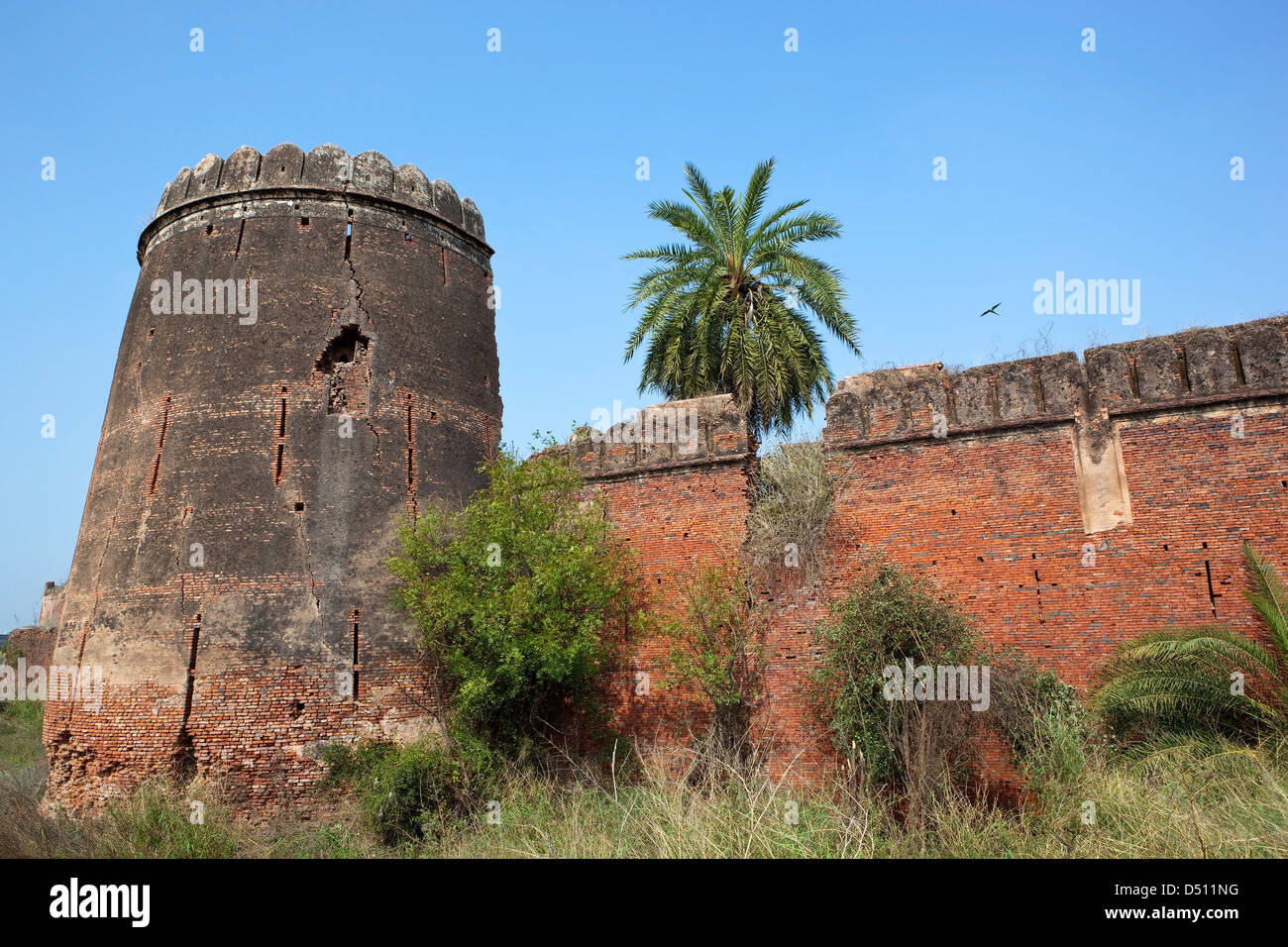 An old crumbling brick fort in rural Punjab India with palm trees under ...