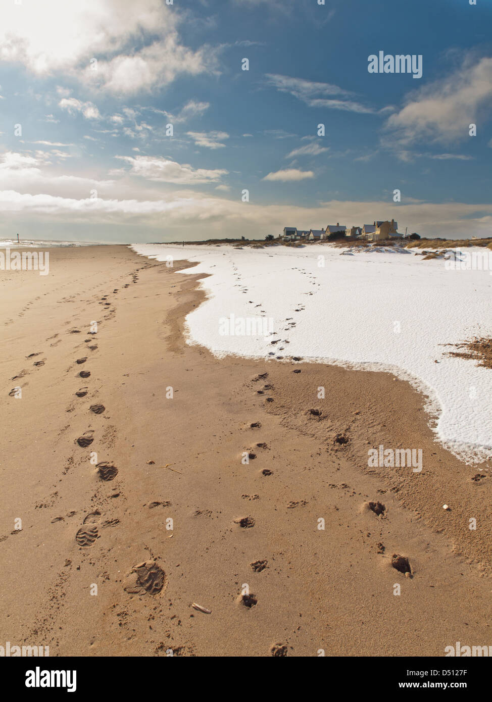 footprints in the snowy sand Stock Photo - Alamy