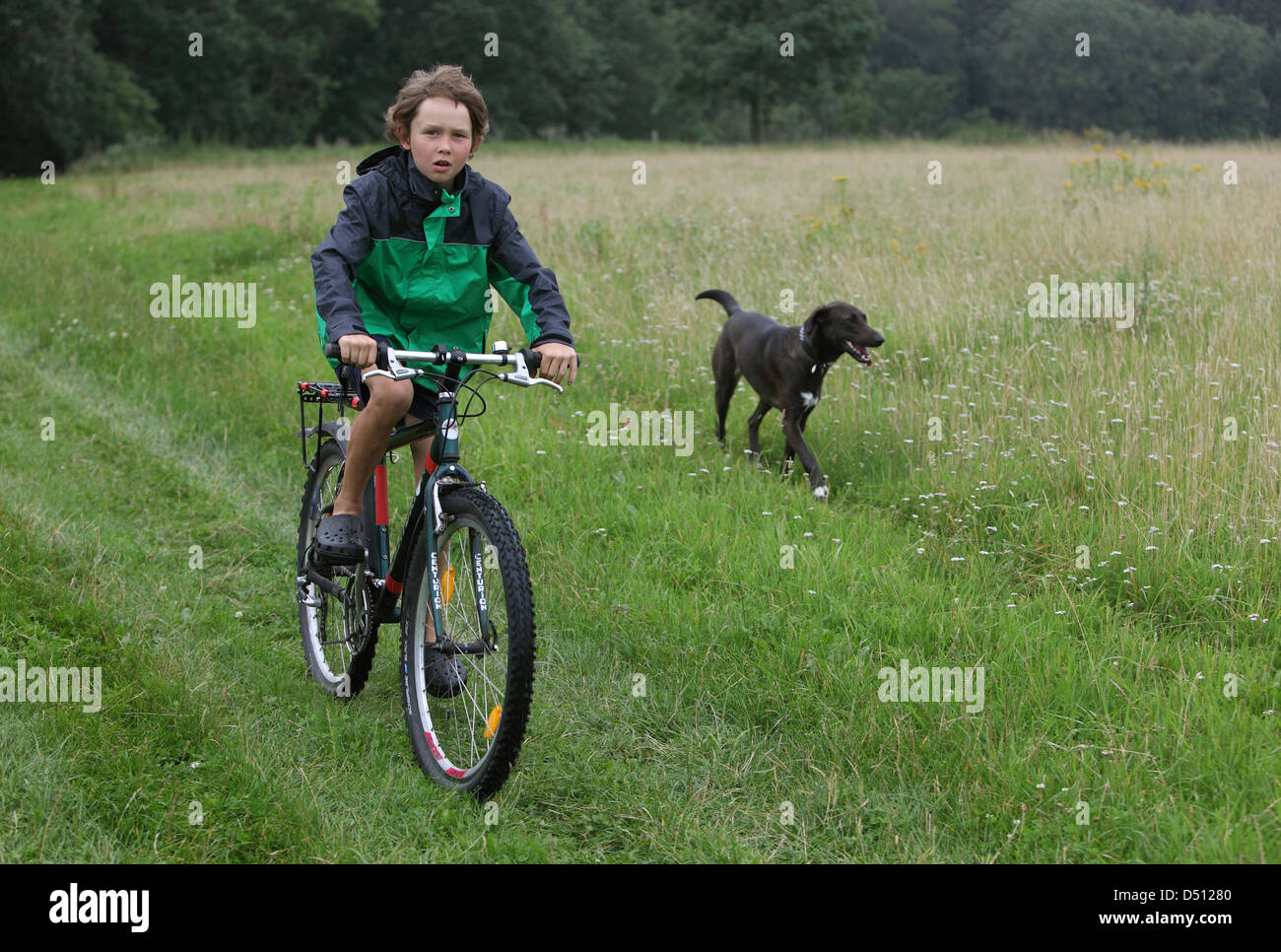 New Kätwin, Germany, boy rides a bicycle next to a dog on a meadow ...