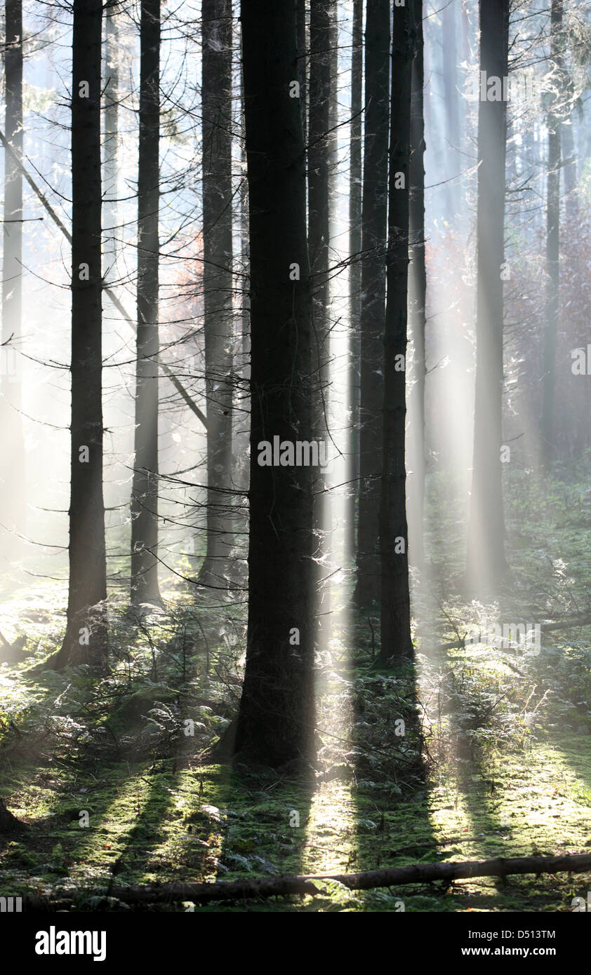 Raking light shadow hi-res stock photography and images - Alamy